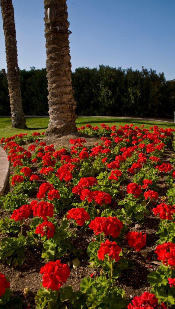 Landscape Management - Blue Marble Landscape